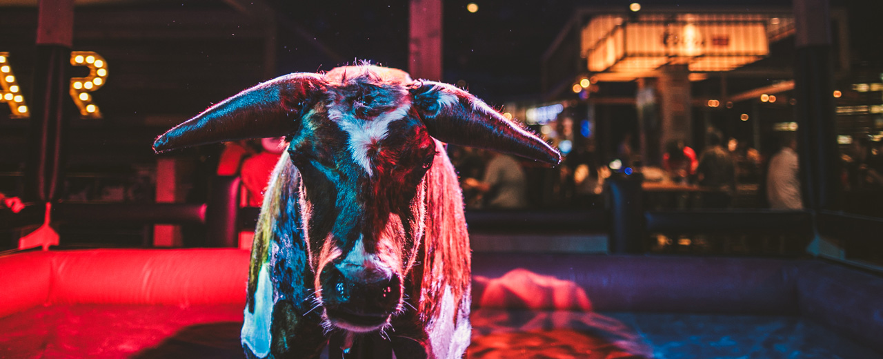 Texas Live! - PBR Texas